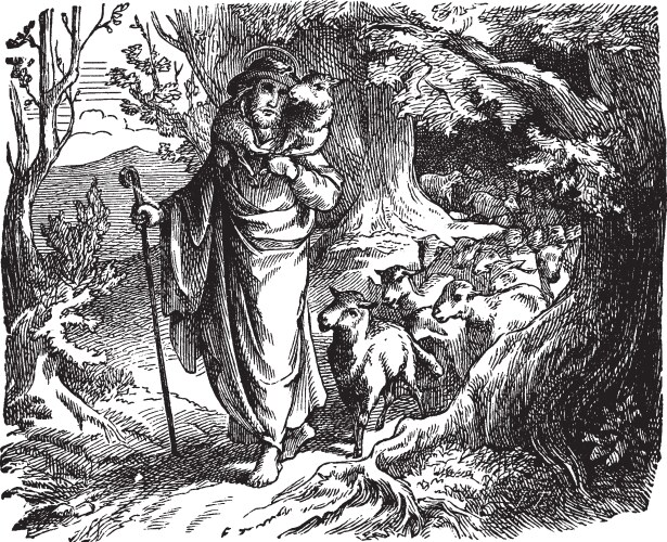 Lost Sheep Vector Images (37)