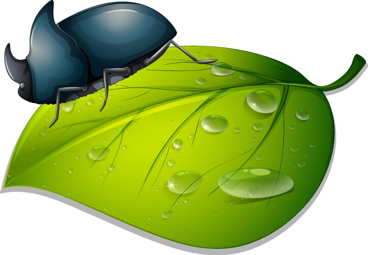 Cute leaf insect on white background Royalty Free Vector