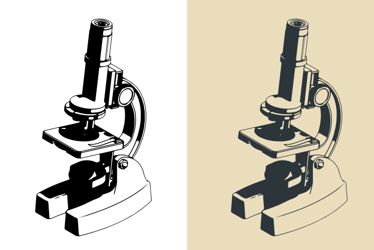 Microscope Royalty Free Vector Image - VectorStock