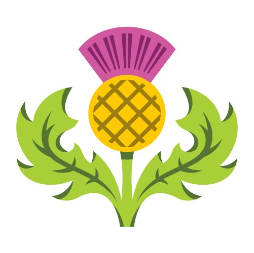 Scottish Thistle Vector Images (over 350)