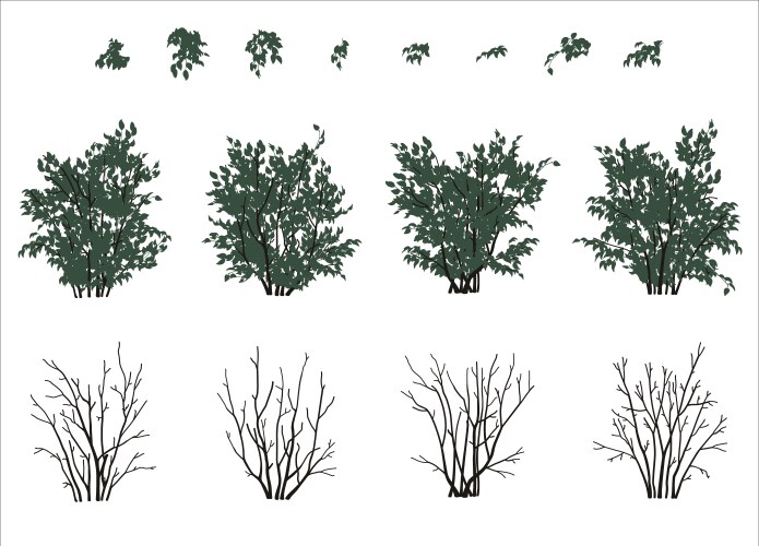 Bushes Vector Images (over 91,000)