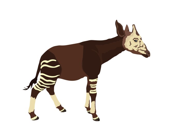 Okapi Vector Images (over 230)
