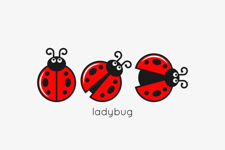 Ladybug Vector Images (over 25,000)