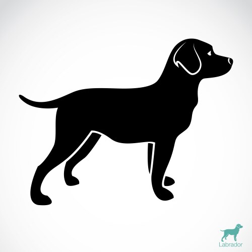 Dog Vector Images (over 440,000)