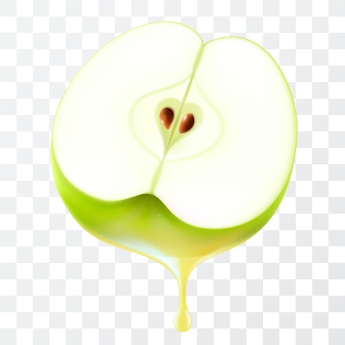 Apple juice dripping from fresh sliced green Vector Image