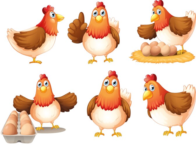 Chickens Vector Images (over 220,000)