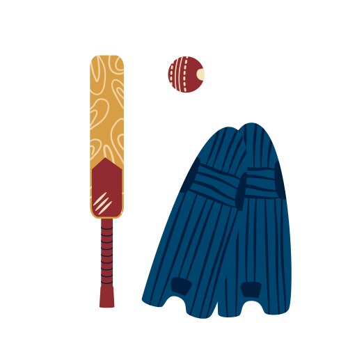 Cricket equipment isolated on white background Vector Image