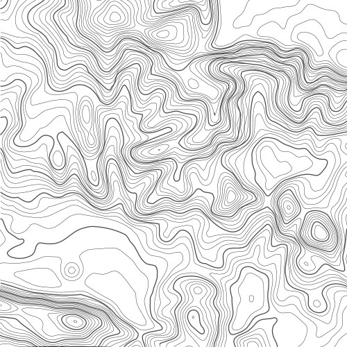 Topographic map geographical location lines Vector Image