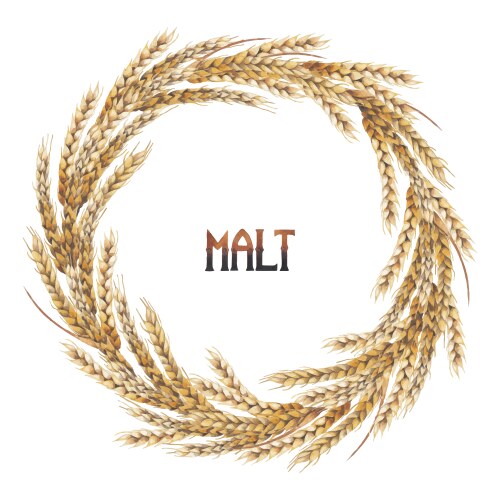 Watercolor hop and malt Royalty Free Vector Image