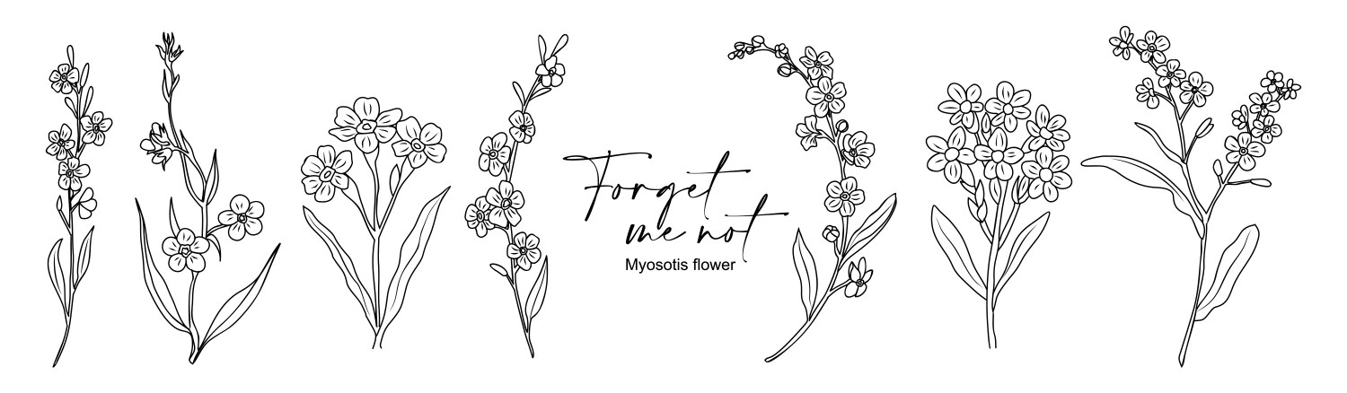 Forget me not Vector Images & Graphics for Commercial Use | VectorStock