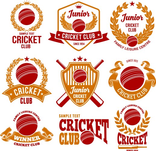 Cricket time concept Royalty Free Vector Image