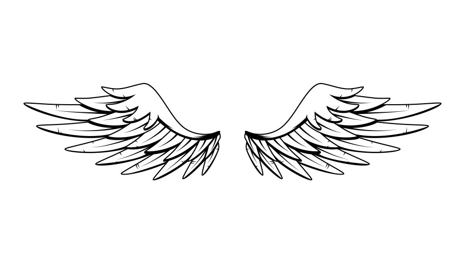 Angel bird wings outline Royalty Free Vector Image