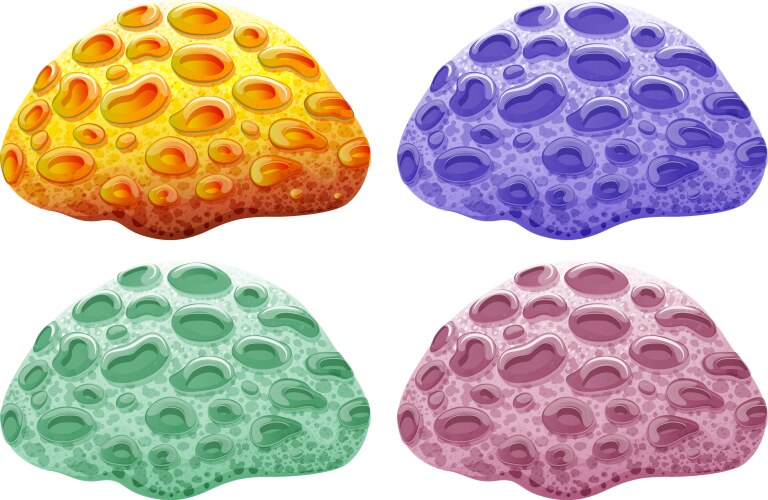 Sponge Vector Images (over 41,000)