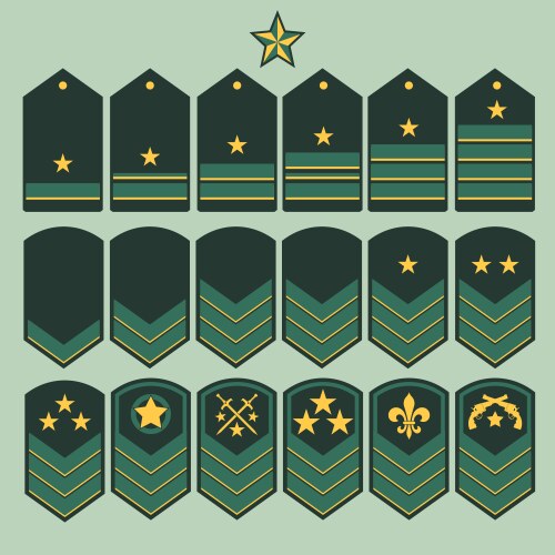 Set of empty shapes for military badges army Vector Image