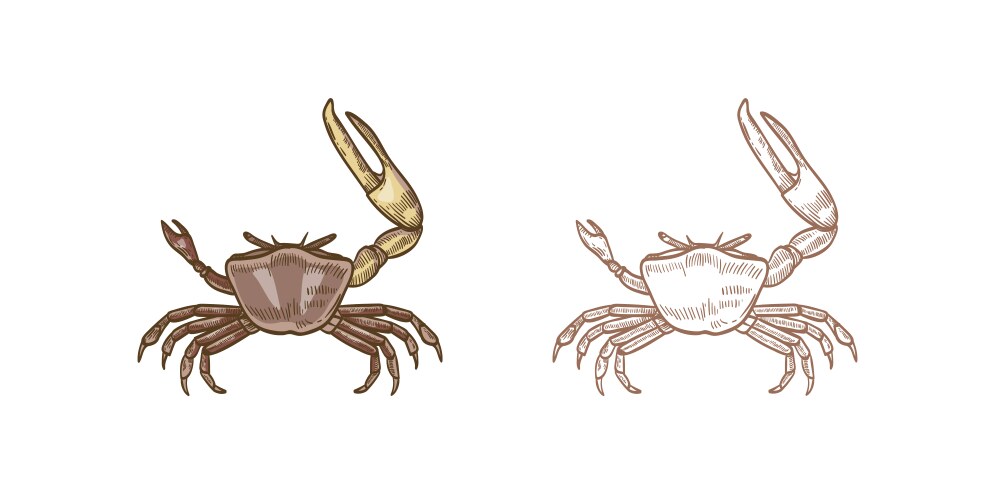 Crab Outline Vector Images (over 7,000)
