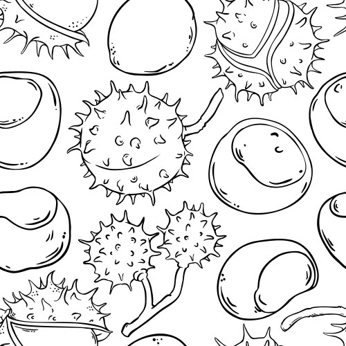 Chestnut elements on white background Royalty Free Vector