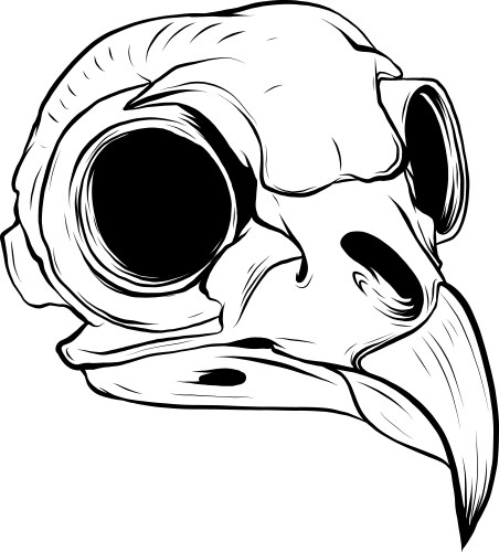 Bird Skull Vector Images (over 5,400)