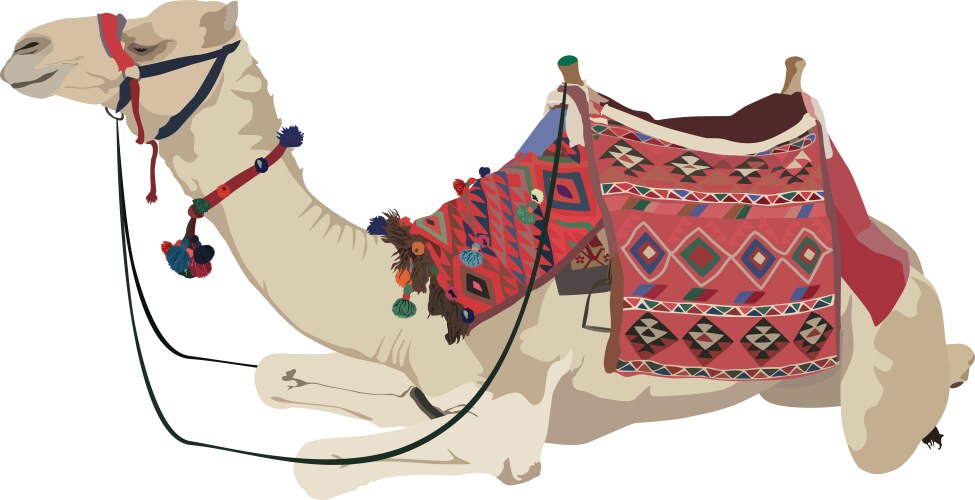 Camel Vector Images & Graphics for Commercial Use | VectorStock