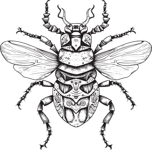 Insect Outlines Vector Images (over 52,000)