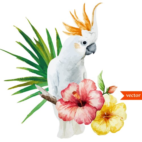 Parrot ara with tropical plants and flowers white Vector Image