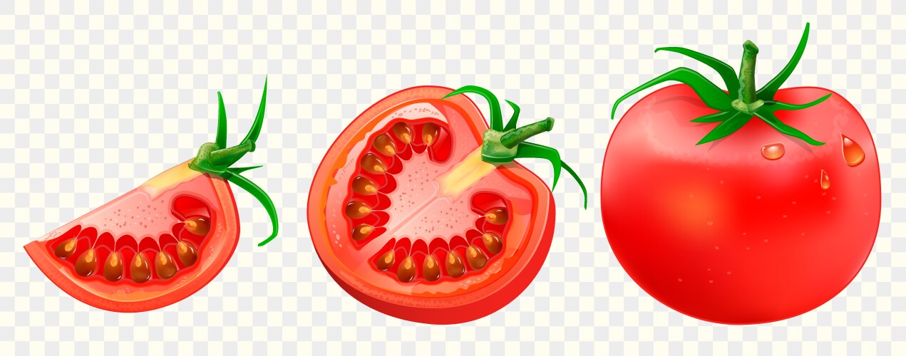 Tomato Vector Images (over 150,000)