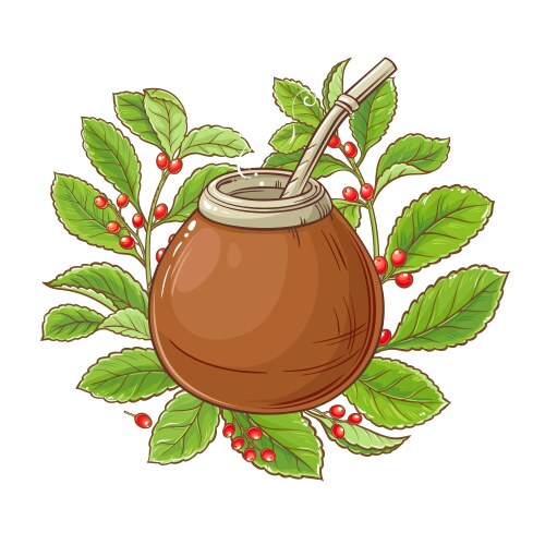 Yerba mate frame Royalty Free Vector Image - VectorStock
