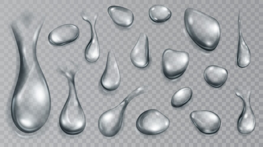 Translucent water drops Royalty Free Vector Image