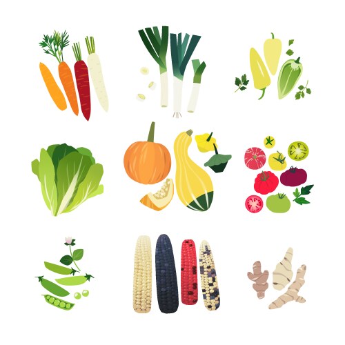 Vegetable Chart Vector Images (over 3,100)