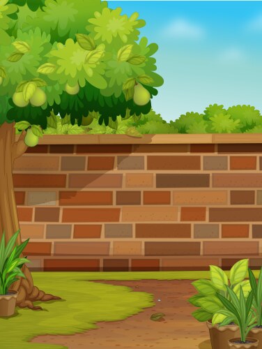 Orange fruit tree in cartoon style isolated Vector Image