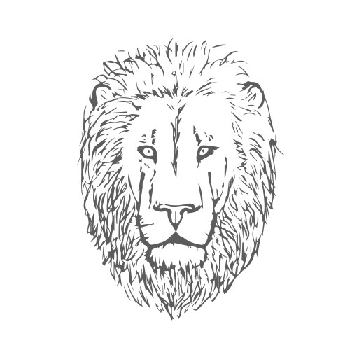 Lion head label hand drawn sketch Royalty Free Vector Image