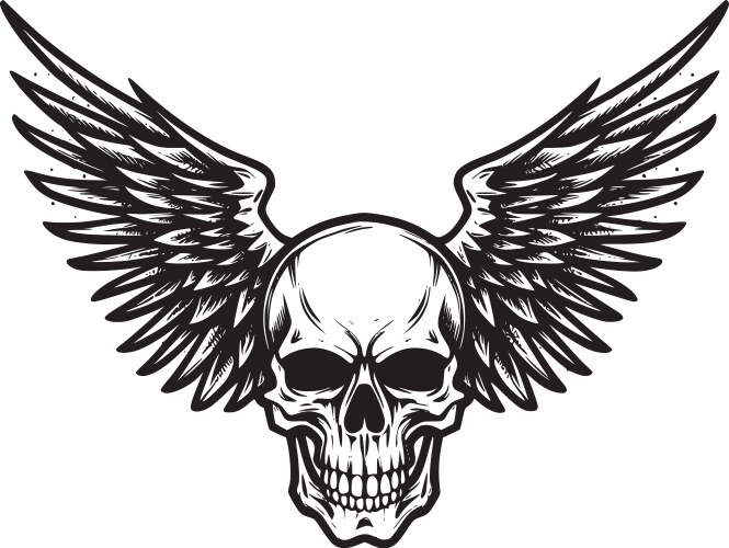 Hawk Skull Vector Images (over 390)
