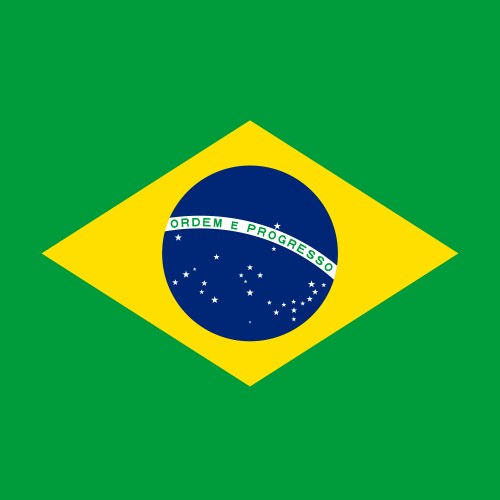 Rectangle flag of brazil Royalty Free Vector Image