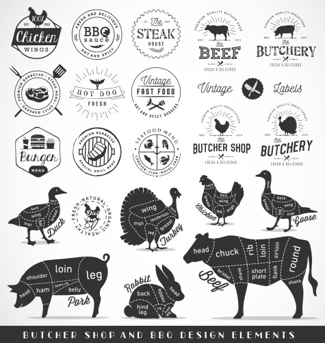 Beef cuts diagram and butchery design elements Vector Image