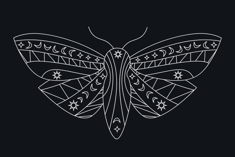 Moth Outline Vector Images (over 6,000)