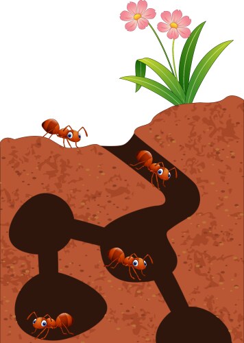 Cartoon ants colony and ant hill Royalty Free Vector Image