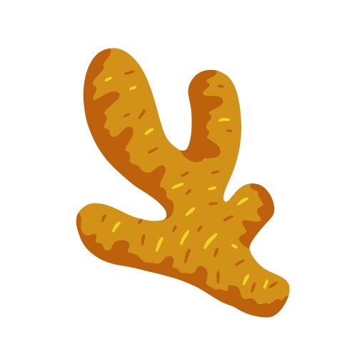 Ginger Root Cartoon Vector Images (over 690)