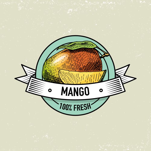 African mango black hand drawn fruit transparent Vector Image