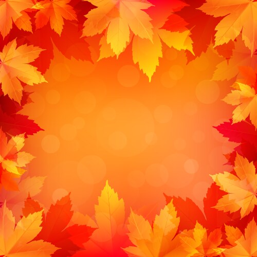 Autumn fall background with bright golden maple Vector Image