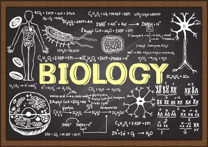 Biology Vector Images (over 490,000)