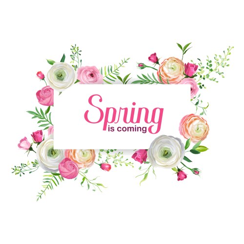Spring and summer floral frame for decoration Vector Image