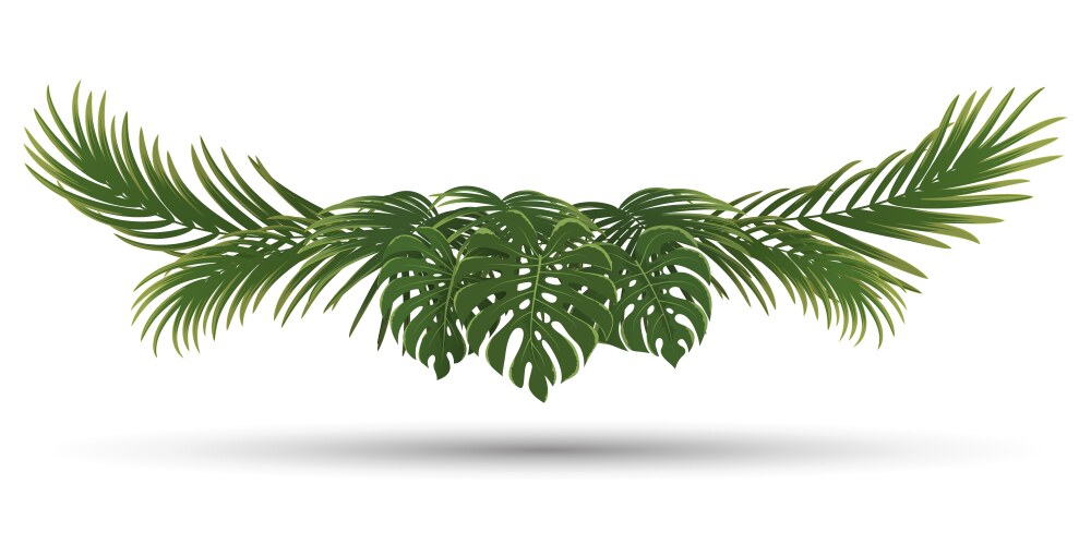 Leaf Border Vector Images (over 150,000)