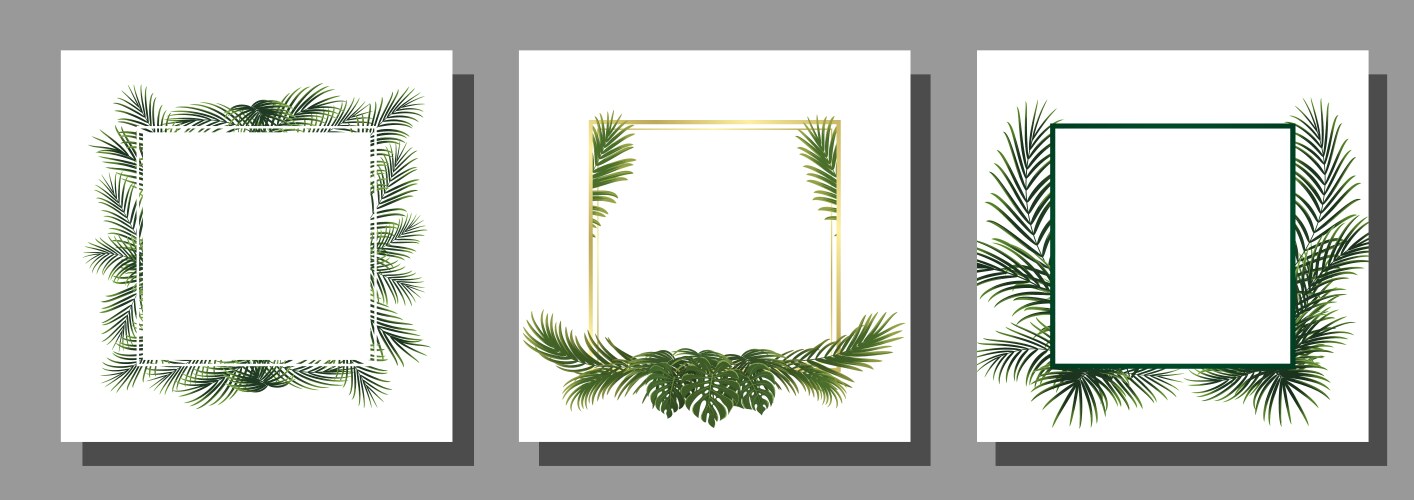 Palm leaves frame green nature leaf border Vector Image