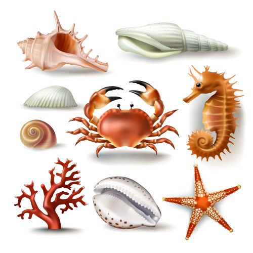 Seashells Vector Images (over 35,000)