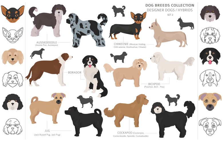 Cockapoo Vector Images (over 110)