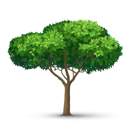 Tree Royalty Free Vector Image - VectorStock