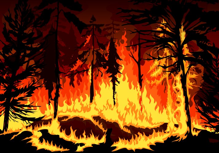 Woodland eco banner fire in forest wildfire Vector Image