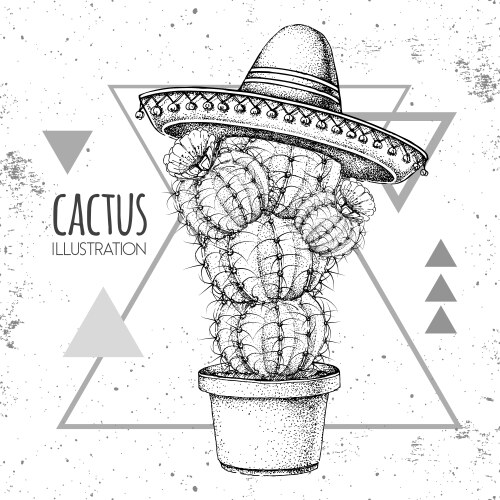 Chullo hat Royalty Free Vector Image - VectorStock