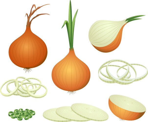 Onion Cartoon Vector Images (over 15,000)