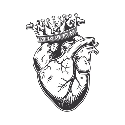 King heart anatomically hand drawn line art Vector Image