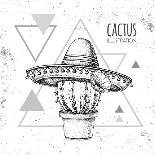 Chullo hat Royalty Free Vector Image - VectorStock